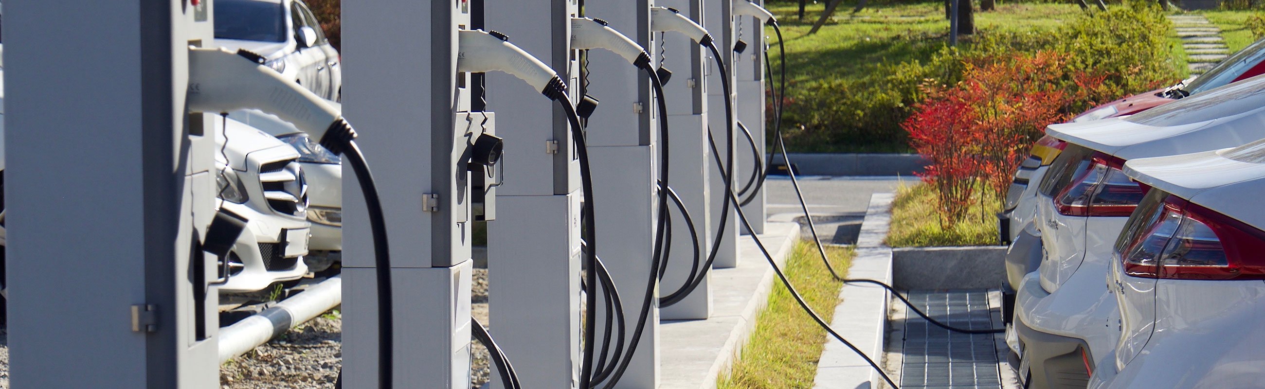 LPE BUSINESS - Landport